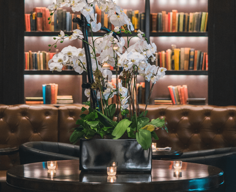 The Goodwin Hotel Culture | The Goodwin